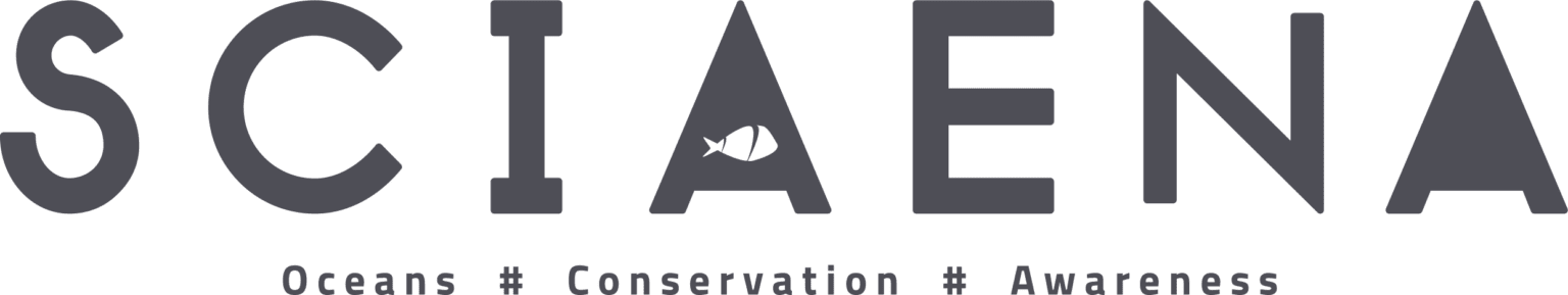 Fish-X Home - FISH-X