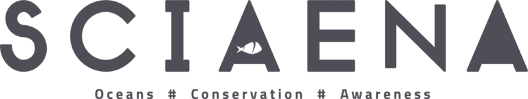 Fish-X Home - FISH-X